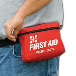 36674 - DIRECT SAFETY - DIRECT SAFETY FANNY | Anixter