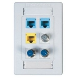AX101441 - BELDEN - Interface Plates 6-PORT | Anixter