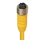Cord Set, 22 AWG, M12 Female Straight Connector, 2m L, 250 V